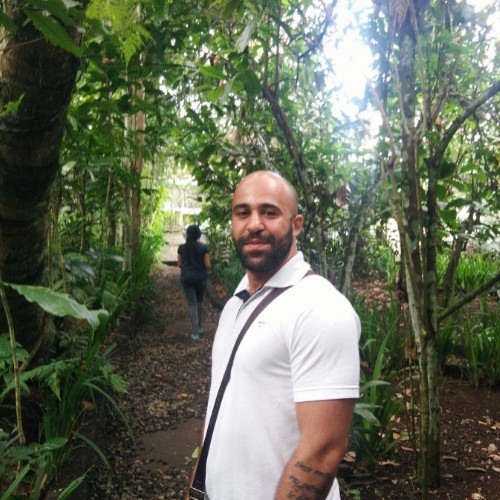 Ali Ansari | LinkedIn Ali Ansari | LinkedIn