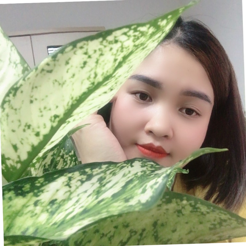 Kim Ngan Dao - Human Resources Manager - TWENDEE | LinkedIn Kim Ngan Dao - Human Resources Manager - TWENDEE | LinkedIn