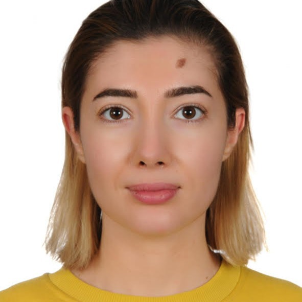 Aysel Musayeva - Prima Maroni Ltd | LinkedIn Aysel Musayeva - Prima Maroni Ltd | LinkedIn