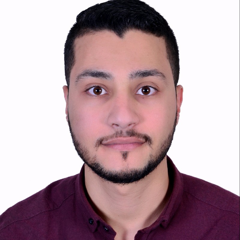 MOHAMED AMINE DADI - Consultant en ingénierie logistique - Capgemini ... MOHAMED AMINE DADI - Consultant en ingénierie logistique - Capgemini ...