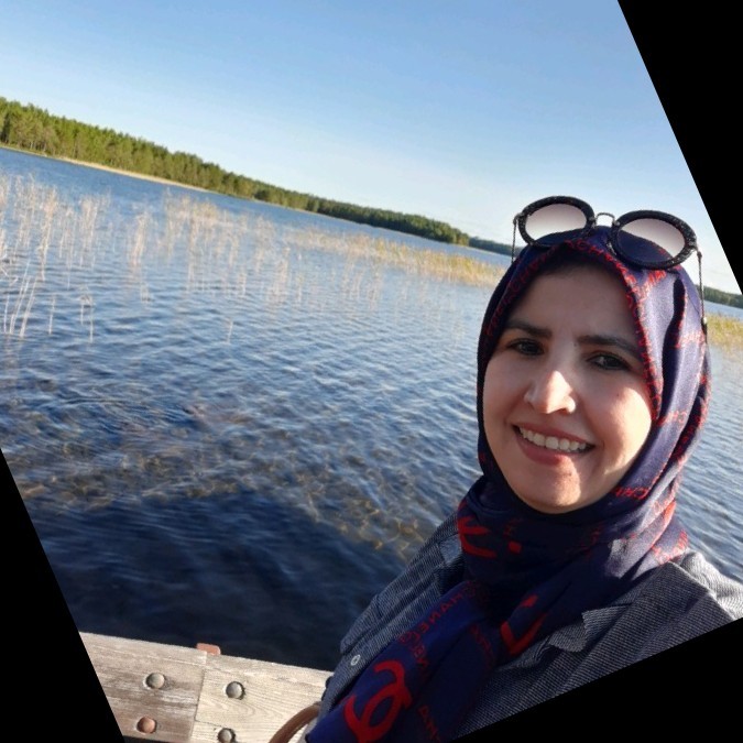 Sanae Ammari - professeur vacataire - FST | LinkedIn Sanae Ammari - professeur vacataire - FST | LinkedIn