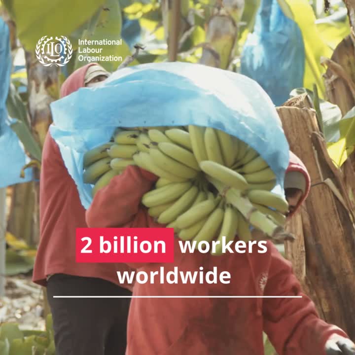 International Labour Organization auf LinkedIn: #sdgs International Labour Organization auf LinkedIn: #sdgs