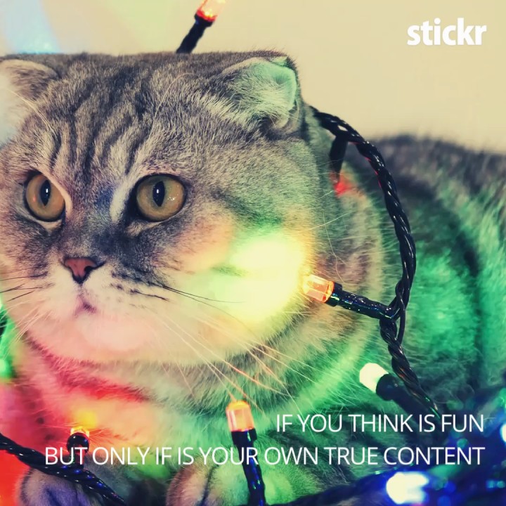 Sorina Diaconu auf LinkedIn: #authentic #content Sorina Diaconu auf LinkedIn: #authentic #content