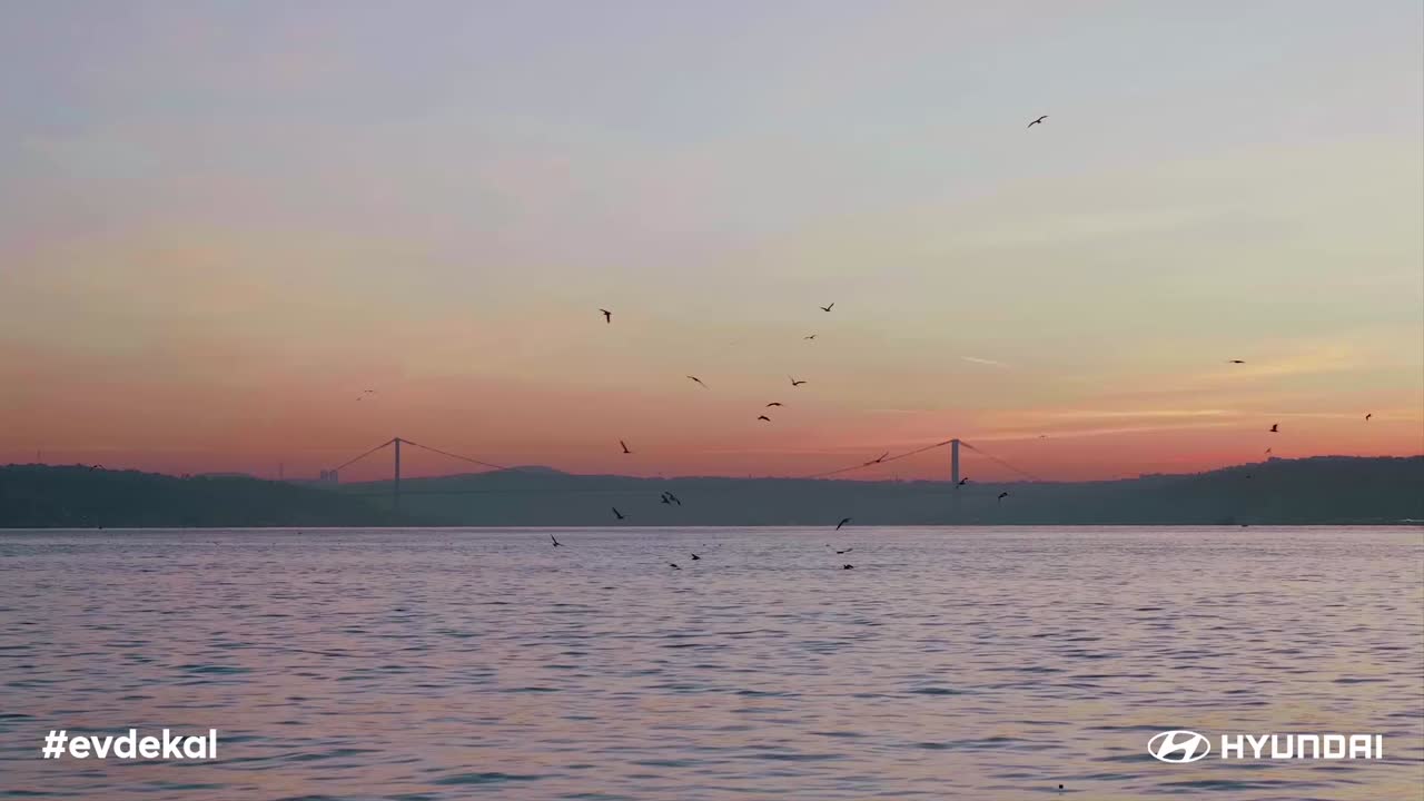 E. Dilara Arslan posted on LinkedIn E. Dilara Arslan posted on LinkedIn