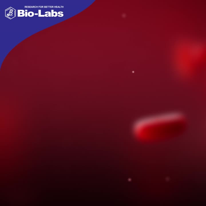Imran Ahmed Ghauri on LinkedIn: Bio-Labs Imran Ahmed Ghauri on LinkedIn: Bio-Labs
