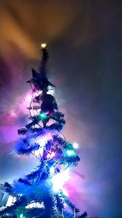 PROF DR GAUTAM ANAND on LinkedIn: Marry christmas PROF DR GAUTAM ANAND on LinkedIn: Marry christmas