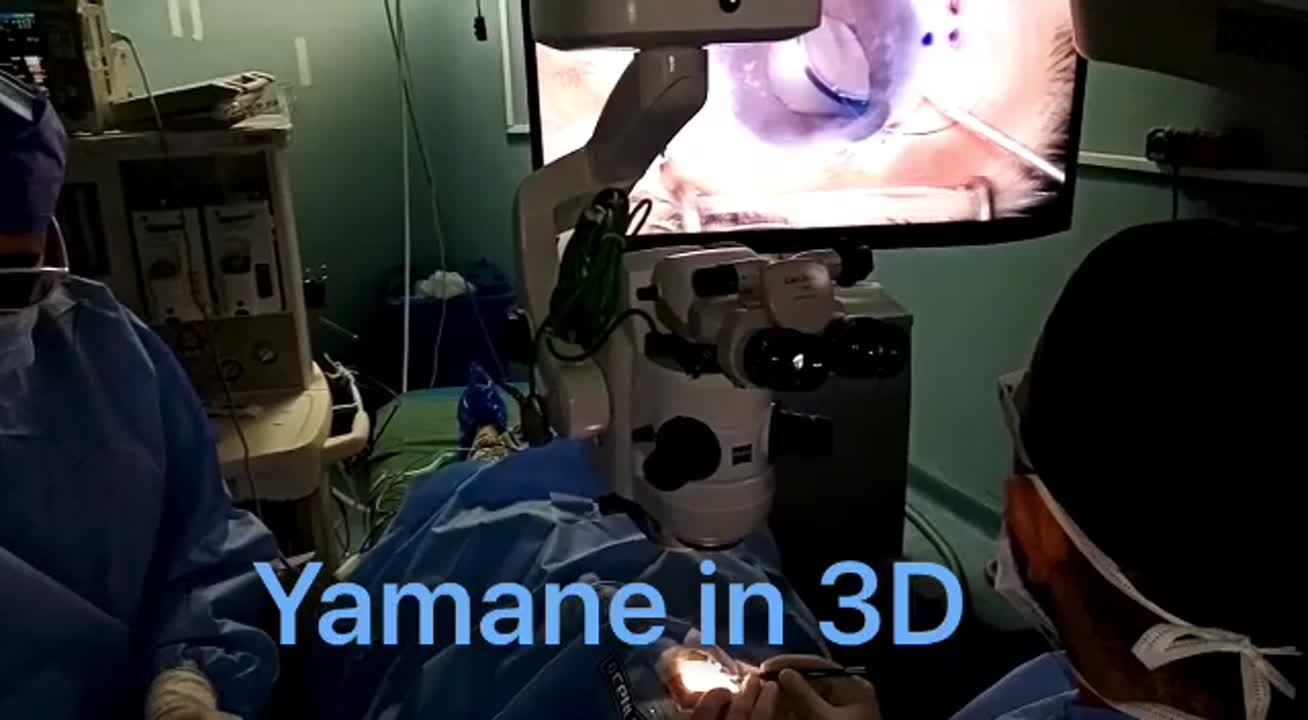 Ahmed El-Sawy on LinkedIn: #artevo800 #zeissmeditec #3d #digital_microscope Ahmed El-Sawy on LinkedIn: #artevo800 #zeissmeditec #3d #digital_microscope