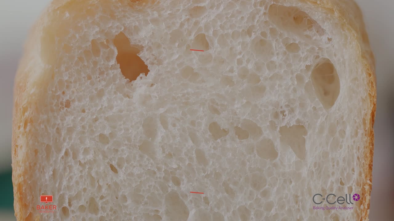 C-Cell on LinkedIn: Objective Bread Analysis for Solving Quality Issues ... C-Cell on LinkedIn: Objective Bread Analysis for Solving Quality Issues ...