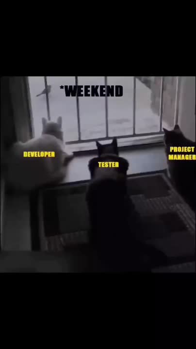 Chirag Lukhi on LinkedIn: 😂 Chirag Lukhi on LinkedIn: 😂