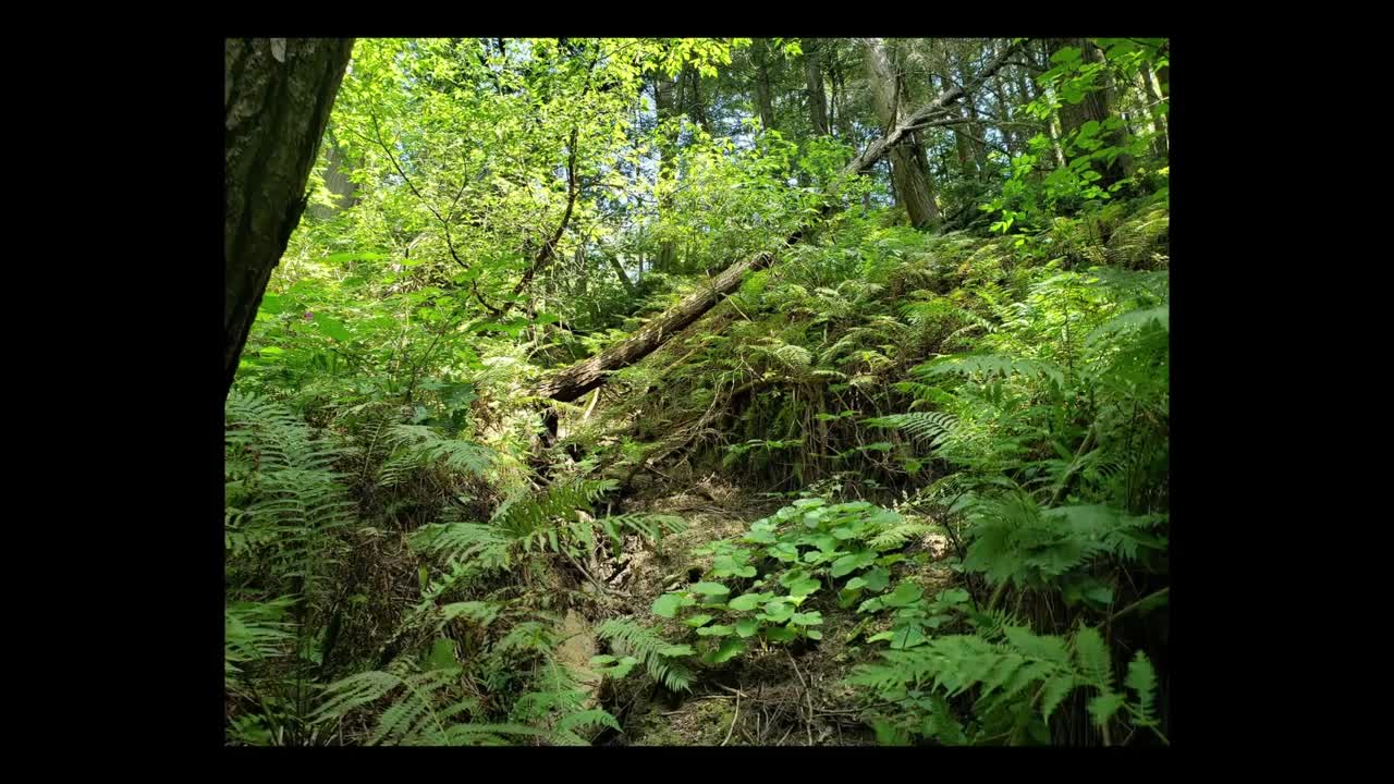 Alex Nagy on LinkedIn: Building a Rock Protected Swale Alex Nagy on LinkedIn: Building a Rock Protected Swale