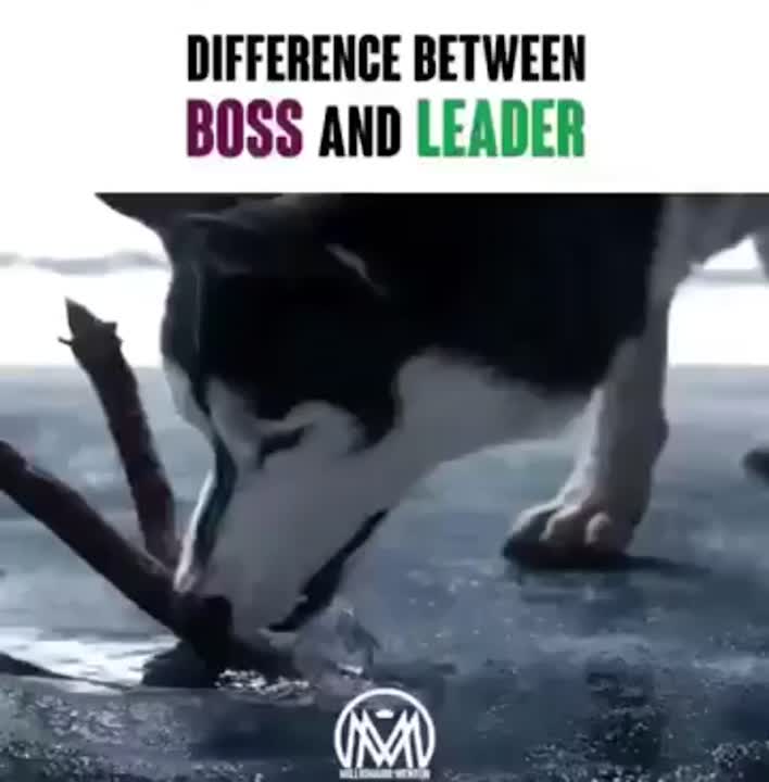 Dr HEMANT ATRI on LinkedIn: Difference between Leader and Boss A leader ... Dr HEMANT ATRI on LinkedIn: Difference between Leader and Boss A leader ...