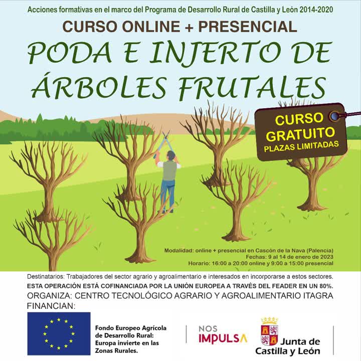 Iris Omil Rabanal on LinkedIn: Curso gratuito Poda e injerto de árboles ... Iris Omil Rabanal on LinkedIn: Curso gratuito Poda e injerto de árboles ...