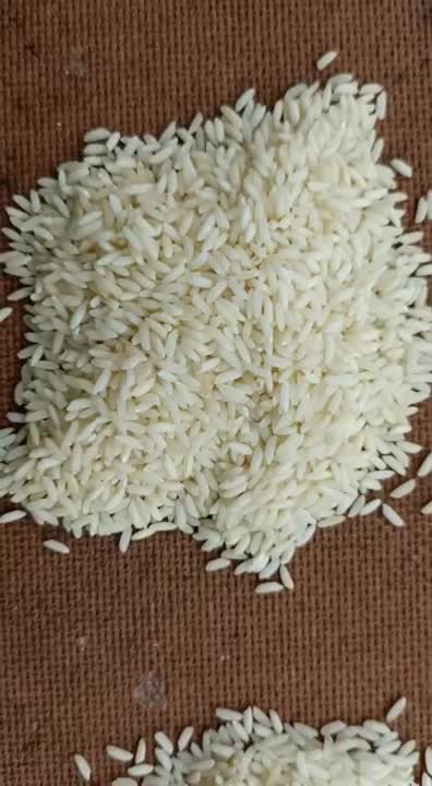 Paul Vimal Nathan on LinkedIn: Sona Masoori Steam white Rice Available ... Paul Vimal Nathan on LinkedIn: Sona Masoori Steam white Rice Available ...