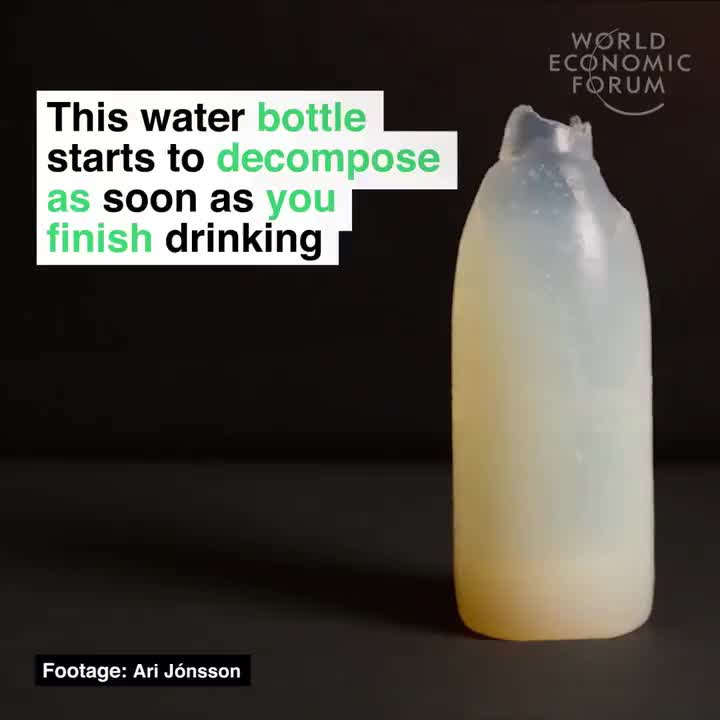 Dr. Muhammad Bilal Khan on LinkedIn: Avoid use of Plastic materials ... Dr. Muhammad Bilal Khan on LinkedIn: Avoid use of Plastic materials ...