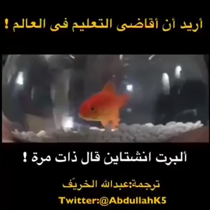 Prof Usama Ibrahim posted on LinkedIn Prof Usama Ibrahim posted on LinkedIn
