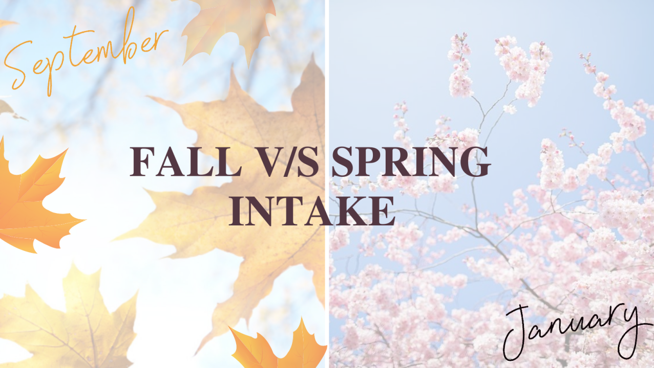 September or January Intake? September or January Intake?