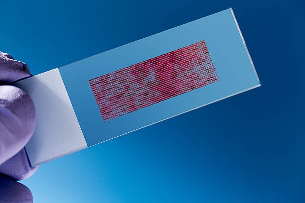 Global DNA Microarray Market size, share and trend analysis Global DNA Microarray Market size, share and trend analysis