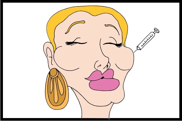 The Poetic Slicence of Plastic Surgery The Poetic Slicence of Plastic Surgery
