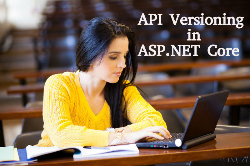 API Versioning in ASP.NET Core:Ultimate Guide API Versioning in ASP.NET Core:Ultimate Guide