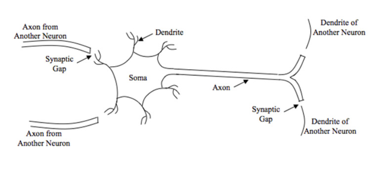 Demystifying Artificial Neural Networks: An Introduction Demystifying Artificial Neural Networks: An Introduction