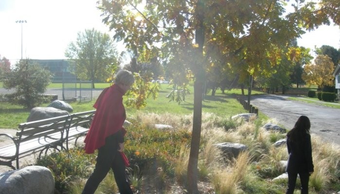 My TED Talk - Transformative Power of Walking My TED Talk - Transformative Power of Walking