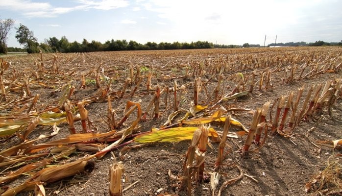 Can Big Data save California from the drought? Can Big Data save California from the drought?