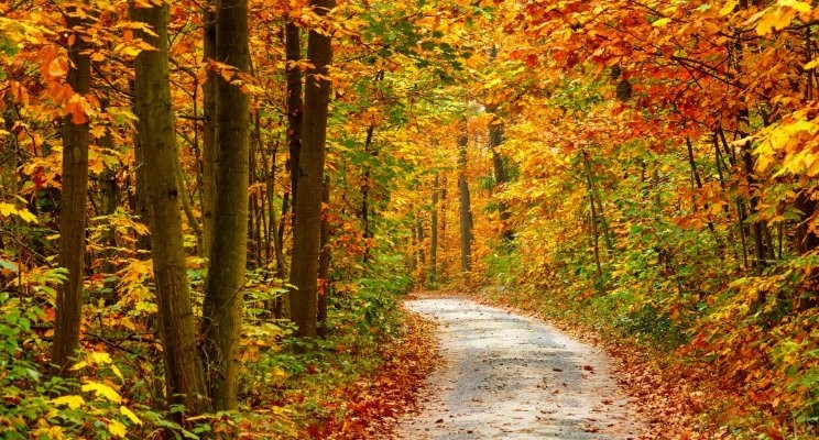 Why do so many change initiatives fail? Why do so many change initiatives fail?