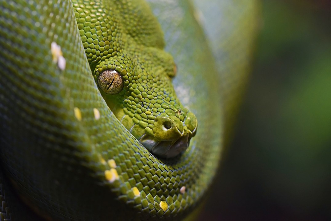 Python3: Mutable, Immutable... everything is object! Python3: Mutable, Immutable... everything is object!