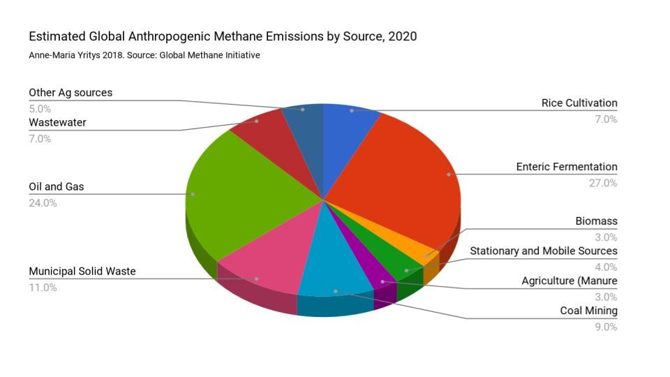 Why Are Landfills Significant Sources of Global Methane Emissions? Why Are Landfills Significant Sources of Global Methane Emissions?