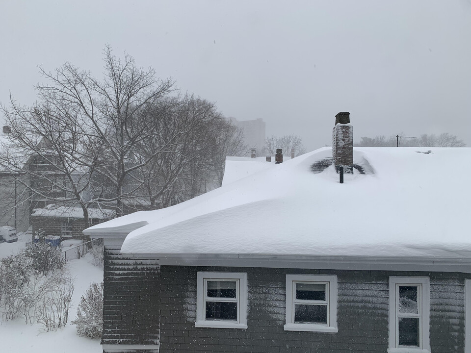 Snow Days and 100 KOLs Snow Days and 100 KOLs