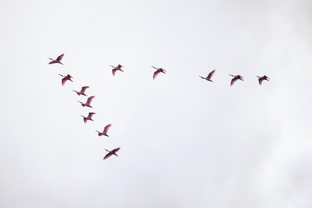 Migrating from Hubspot to Salesforce Migrating from Hubspot to Salesforce