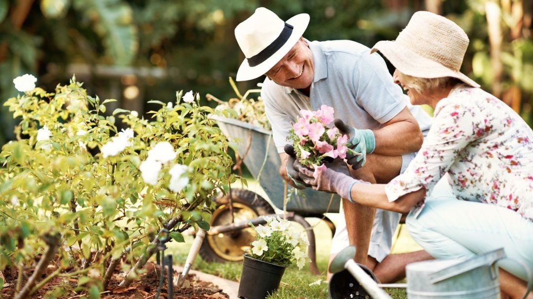 GPs to prescribe social activities such as cooking and art to tackle ... GPs to prescribe social activities such as cooking and art to tackle ...