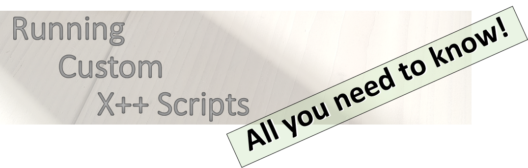 Running Custom X++ Scripts - All you need to know. Running Custom X++ Scripts - All you need to know.
