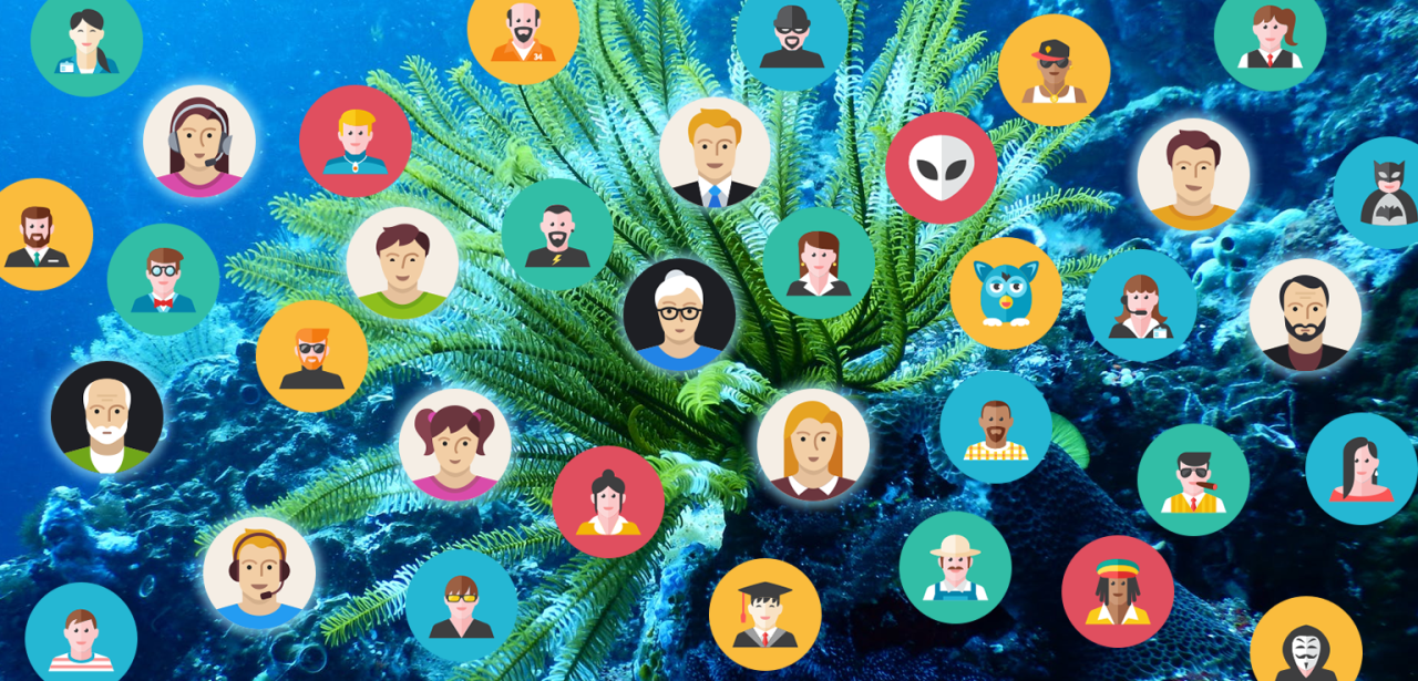 How Do We Build a Robust HR Ecosystem? How Do We Build a Robust HR Ecosystem?