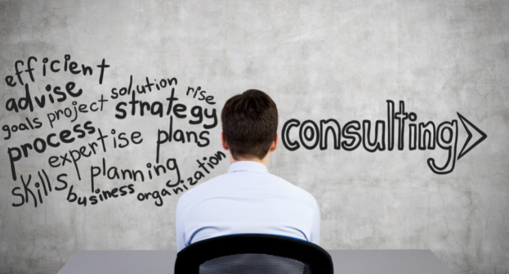The Seller / Doer Model in Consulting The Seller / Doer Model in Consulting