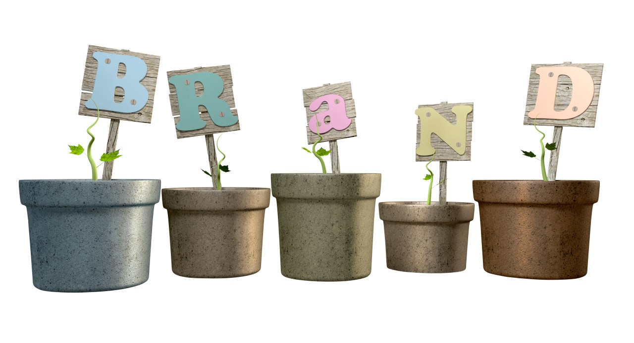 Brand Strategy in a Nutshell – 5 Reasons to Invest in Branding Your ... Brand Strategy in a Nutshell – 5 Reasons to Invest in Branding Your ...