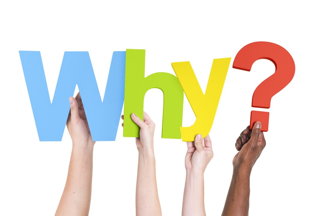 Are you a 'WHY' person? Are you a 'WHY' person?
