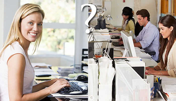 Individual VS Professional Company Individual VS Professional Company