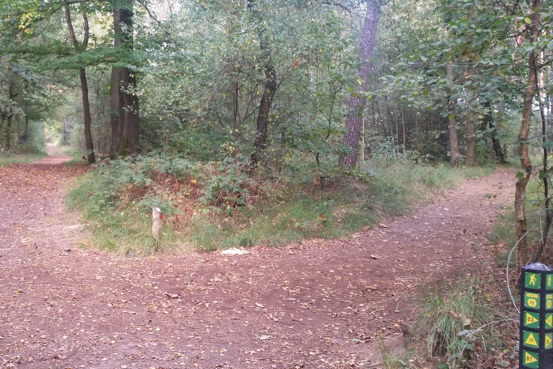 Wandelend Wijzer Wandelend Wijzer