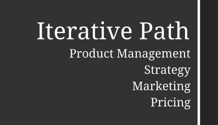 Adopting Business Model Innovation Adopting Business Model Innovation