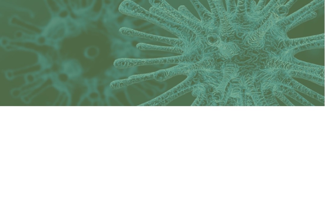Ideas On RT-qPCR Validation Ideas On RT-qPCR Validation