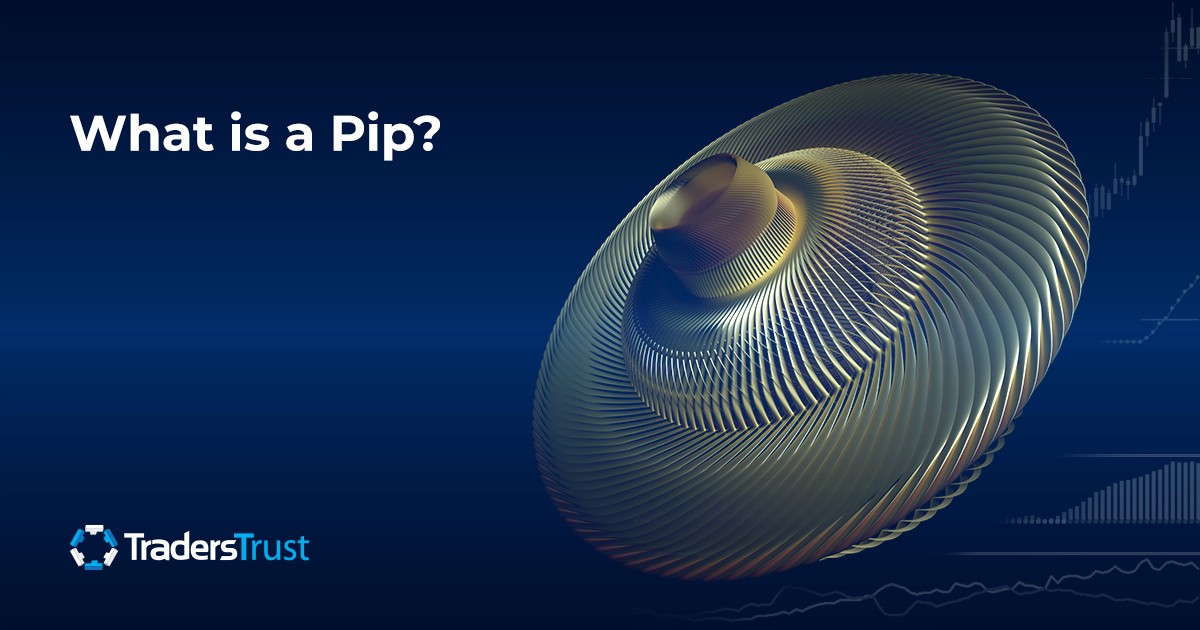 What is a #Pip? What is a #Pip?