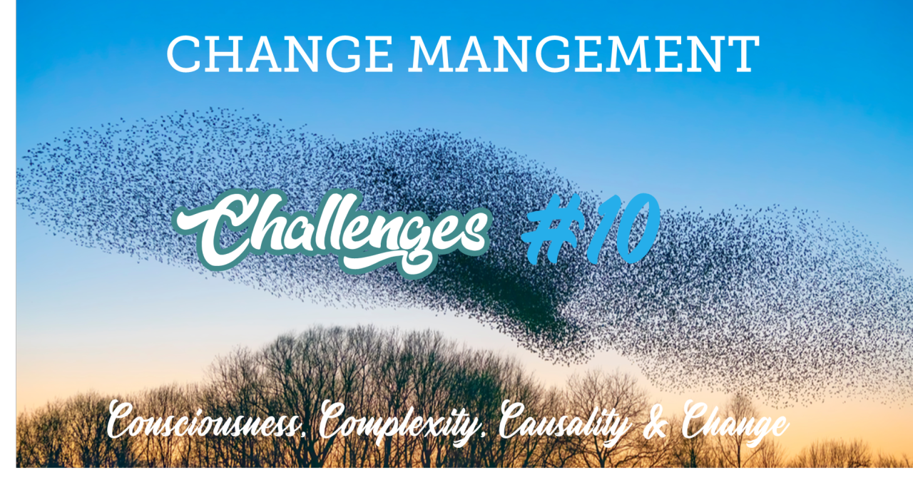 Challenge 10 – Consciousness, Complexity, Causality & Change Challenge 10 – Consciousness, Complexity, Causality & Change