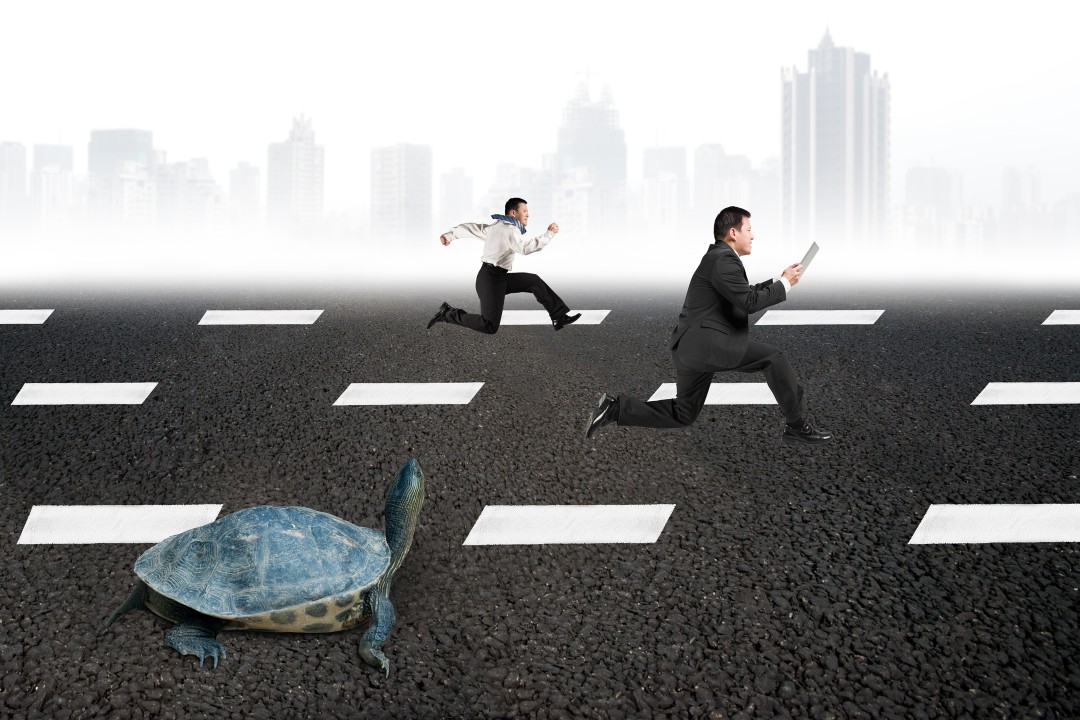Slow and Steady Wins the Race. Slow and Steady Wins the Race.