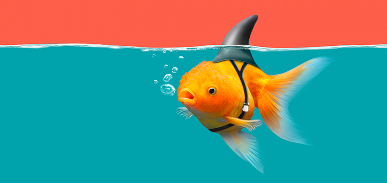 What Is IP Spoofing and How Can You Prevent It? What Is IP Spoofing and How Can You Prevent It?