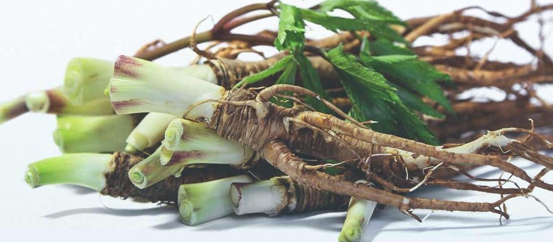 Reproductive Hormone Harmony: Discovering Your Unique Herbal Combinations Reproductive Hormone Harmony: Discovering Your Unique Herbal Combinations