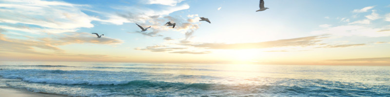 Robin Cornett, SPHR, HCS - Strada | LinkedIn Robin Cornett, SPHR, HCS - Strada | LinkedIn
