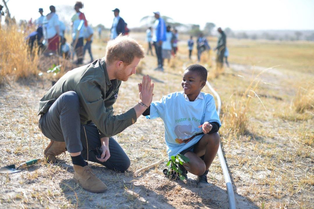 Brand Botswana on LinkedIn: #visitbotswana Brand Botswana on LinkedIn: #visitbotswana
