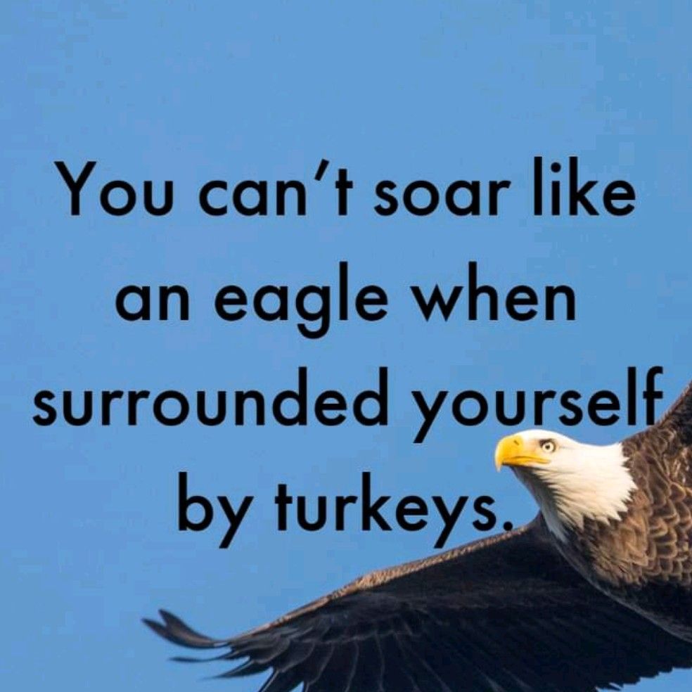 Udit Sharma on LinkedIn: Fly High Udit Sharma on LinkedIn: Fly High