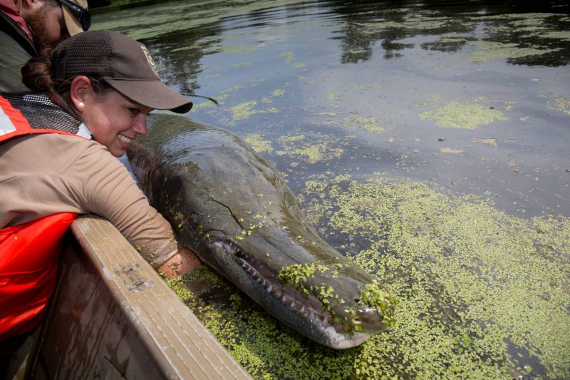 Jonathan Lutz on LinkedIn: #conservation #nativefish #environment # ... Jonathan Lutz on LinkedIn: #conservation #nativefish #environment # ...